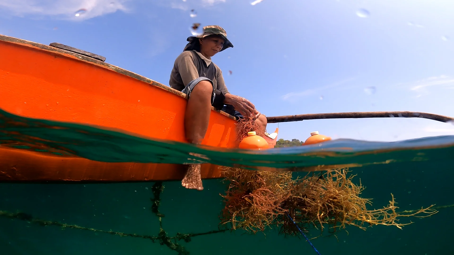 Strengthening Coastal Livelihoods through Seaweed Innovation & Finance ...
