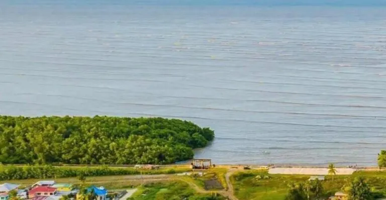 Guyana Mangrove Seawall Engineering Guidance Orraa