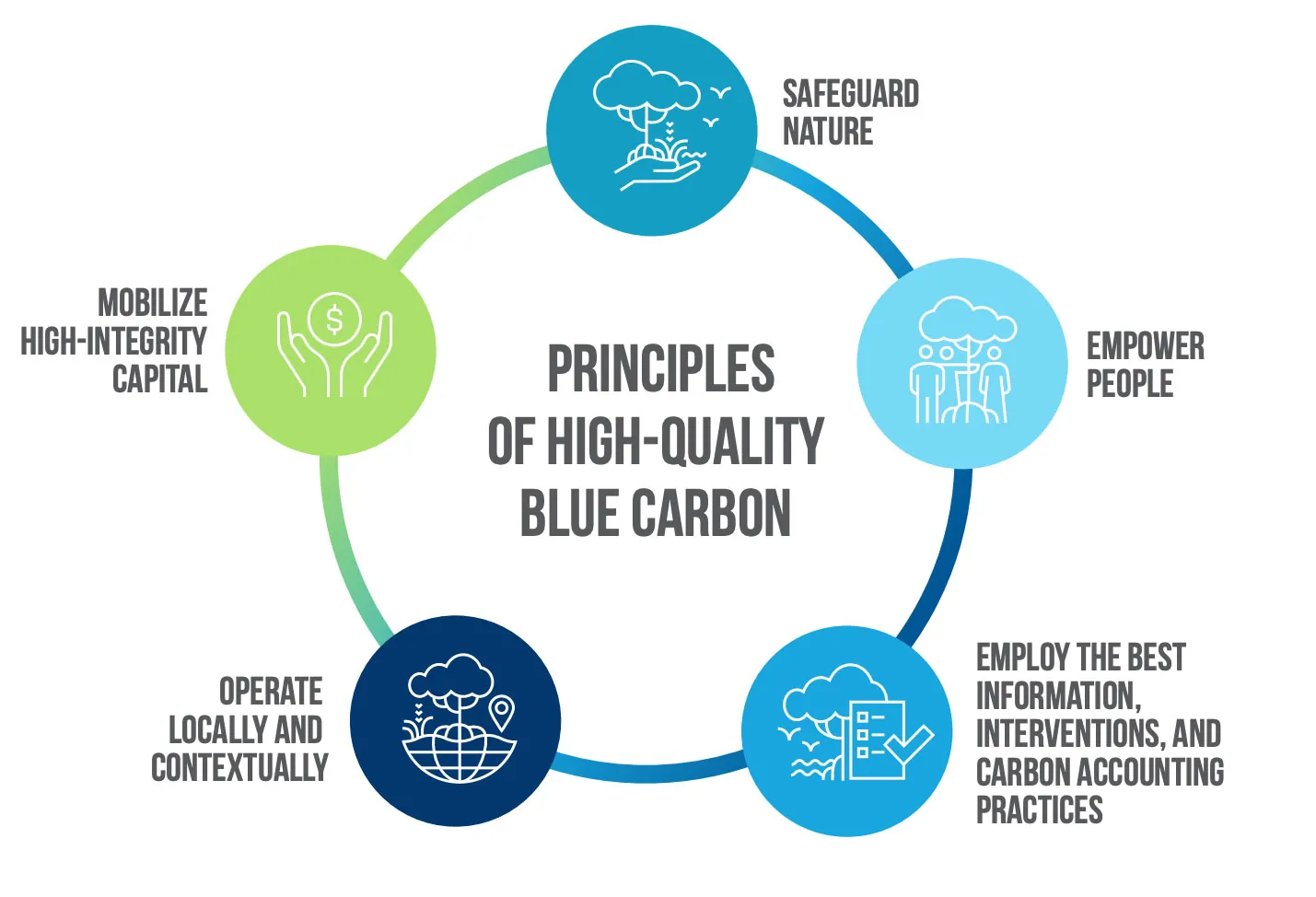 Developing a Practitioners Guide for High-Quality Blue Carbon Projects ...
